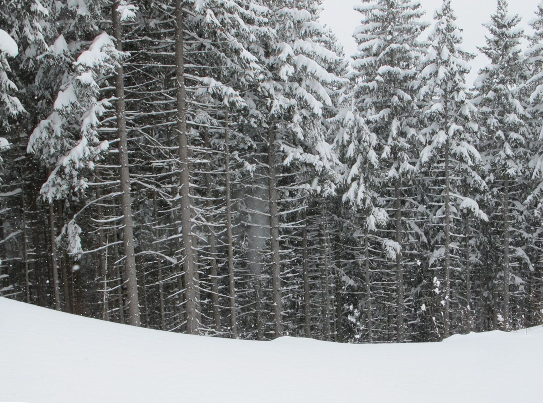 An Almost Perfect Winter’s Day – Travelhector